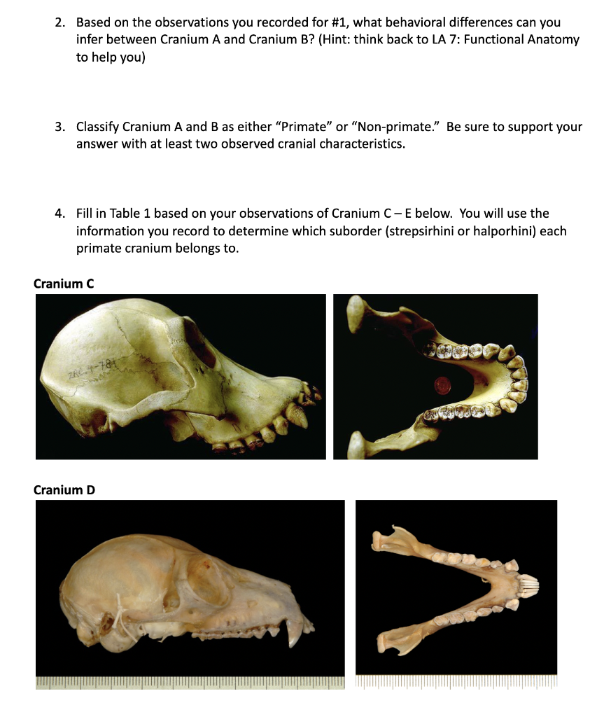 Solved Introduction In this Lab Activity you will apply what | Chegg.com