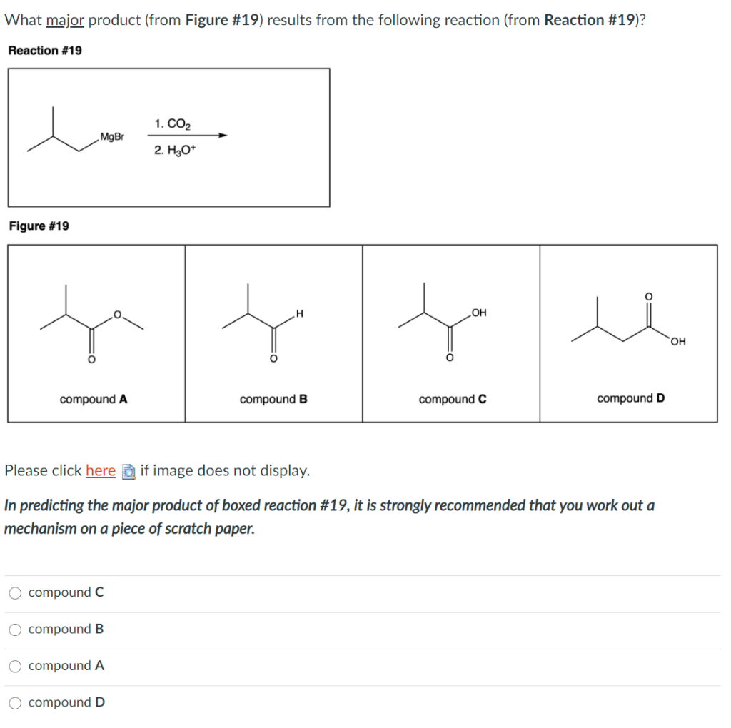 Solved What major product (from Figure #19) results from the | Chegg.com