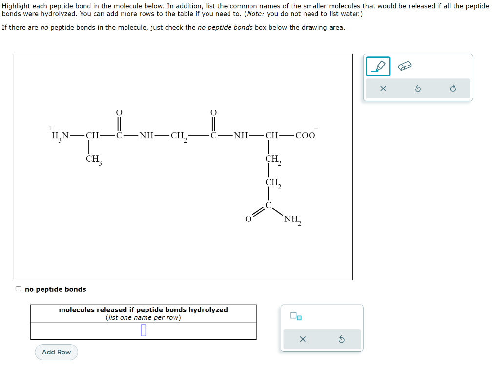 Solved Highlight each peptide bond in the molecule below. In | Chegg.com