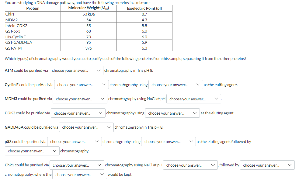 Solved You are ctıidvino a חN Δ damaos nathwav and have the | Chegg.com