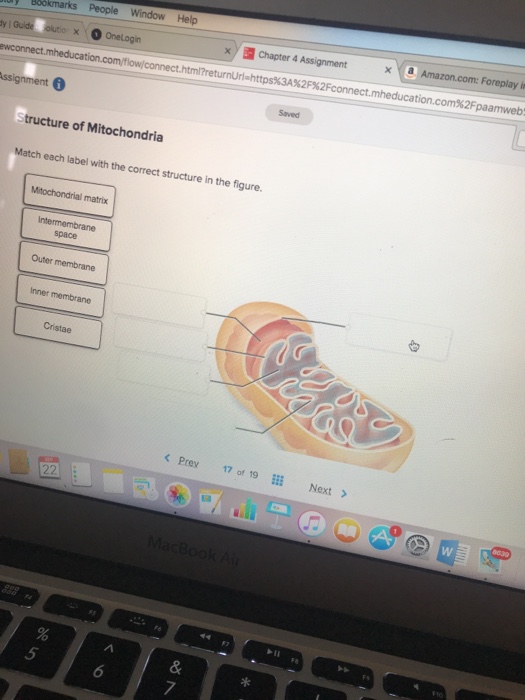 Solved People Window Help xOnelogin turnUrlahttps%3A%2F%2FC | Chegg.com