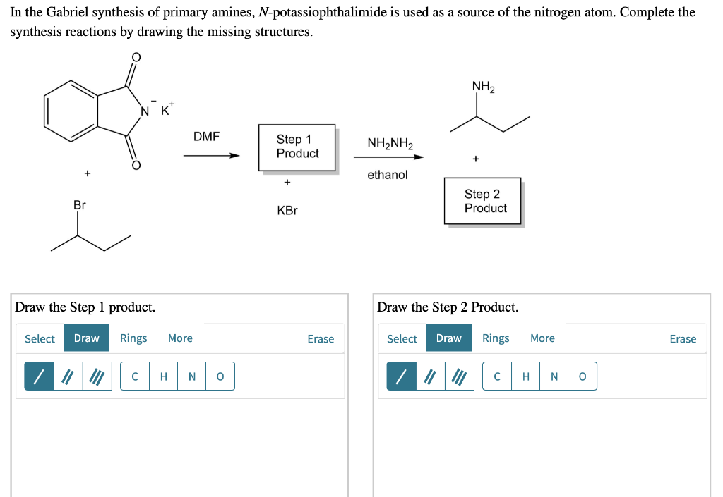 Solved In the Gabriel synthesis of primary amines, | Chegg.com
