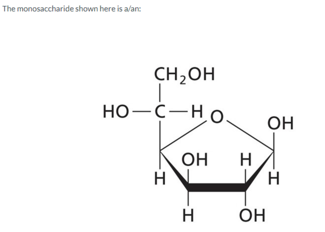 Solved The monosaccharide shown here is | Chegg.com