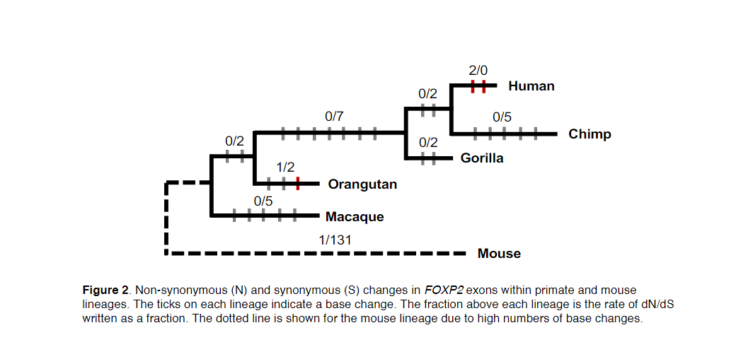 Solved Use the figure in the pdf to answer the following | Chegg.com