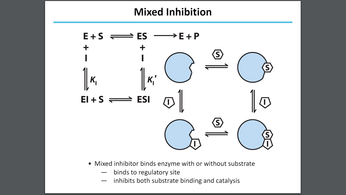 Solved Mixed InhibitionMixed inhibitor binds enzyme with or | Chegg.com