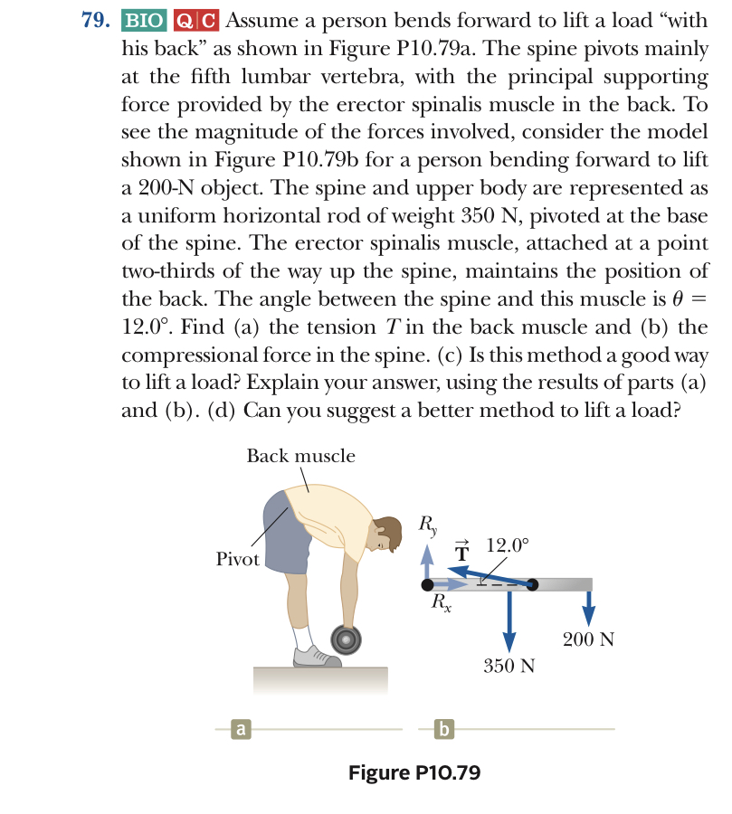 Solved 9. BIO Q∣C Assume a person bends forward to lift a | Chegg.com