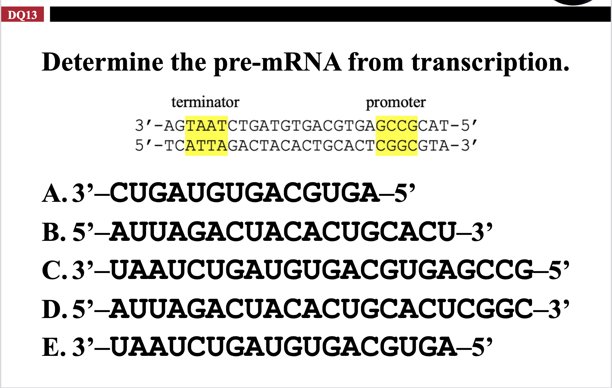 Solved Determine the pre-mRNA from | Chegg.com