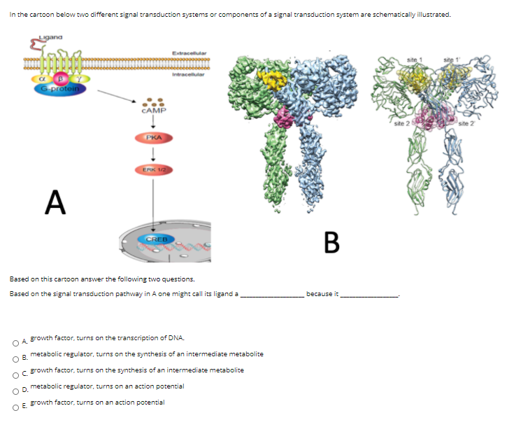 Solved In the cartoon below two different signal | Chegg.com