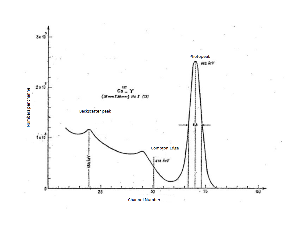 Experimental Physics Understanding The Effect Of Compton, 44% OFF