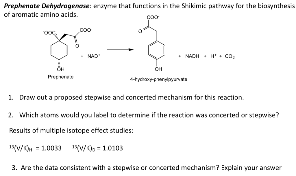 Solved Prephenate Dehydrogenase: enzyme that functions in | Chegg.com