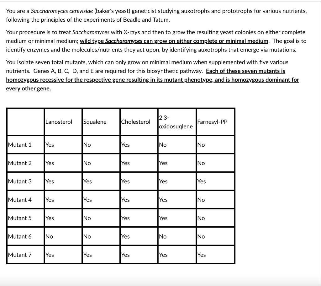 Construct a biochemical pathway relating nutrients | Chegg.com
