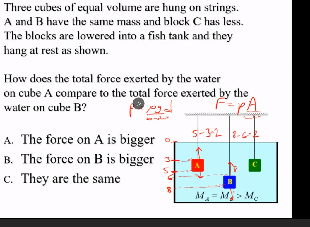 Solved Three cubes of equal volume are hung on strings. A | Chegg.com