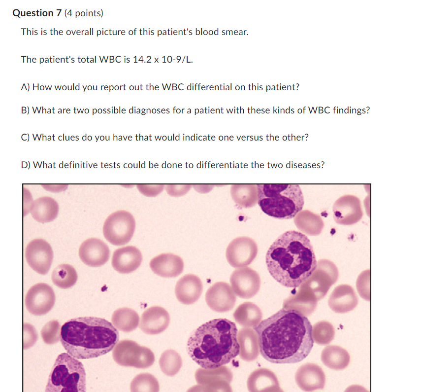 Solved This is the overall picture of this patient's blood | Chegg.com