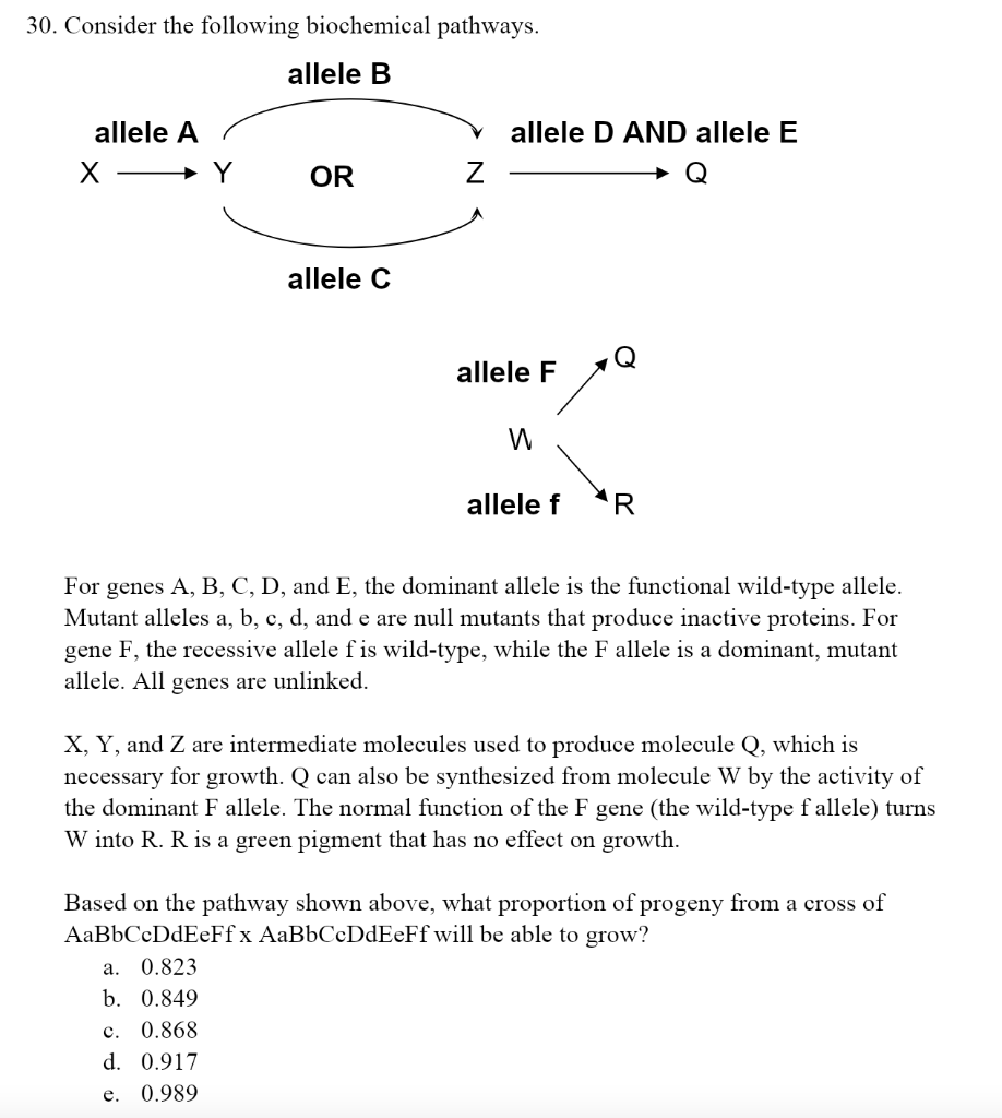 Solved 30. Consider the following biochemical pathways. For | Chegg.com