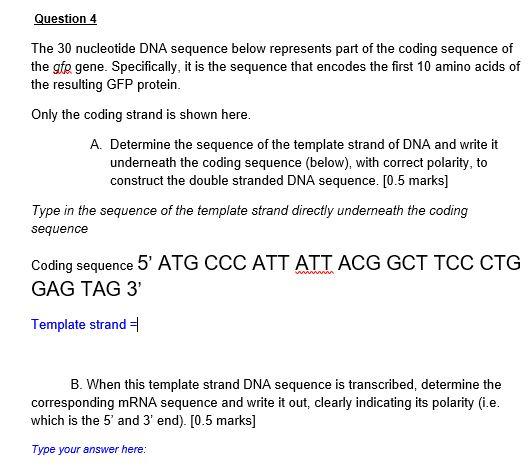 Solved Question 4 The 30 nucleotide DNA sequence below | Chegg.com