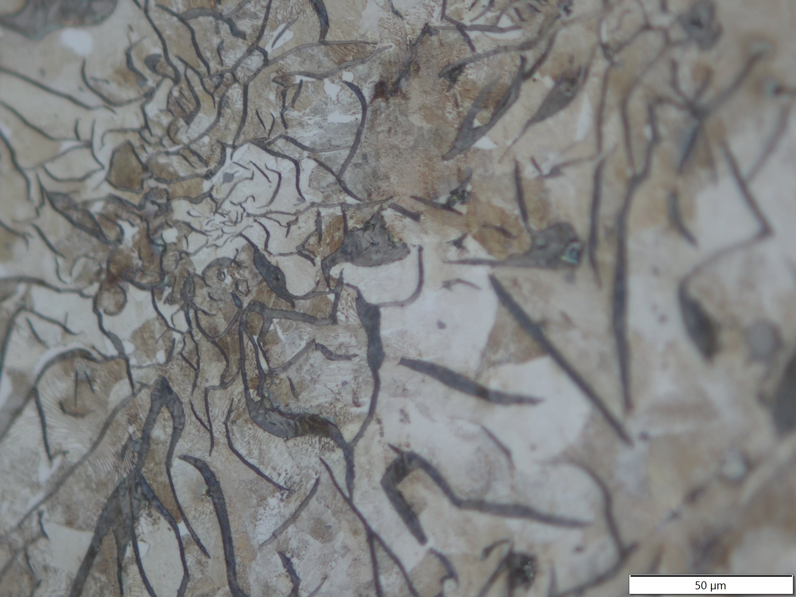 Solved 1. Discussion of the microstructures of Fe-C for the | Chegg.com