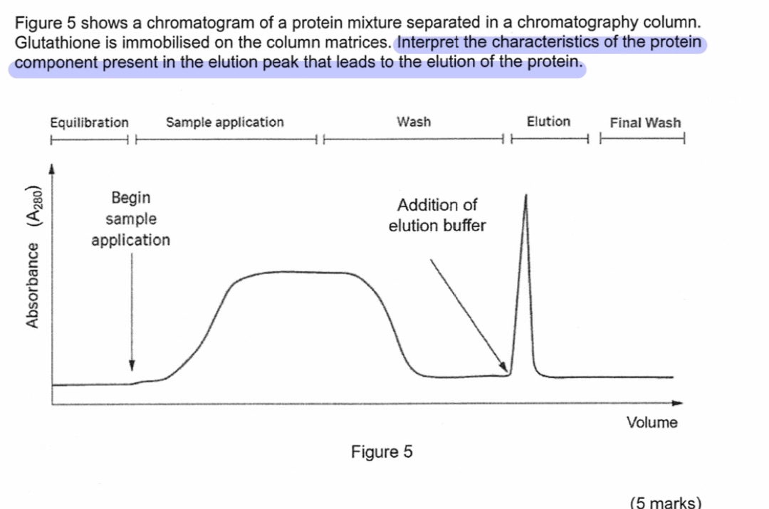Solved helpFigure 5 ﻿shows a chromatogram of a protein | Chegg.com