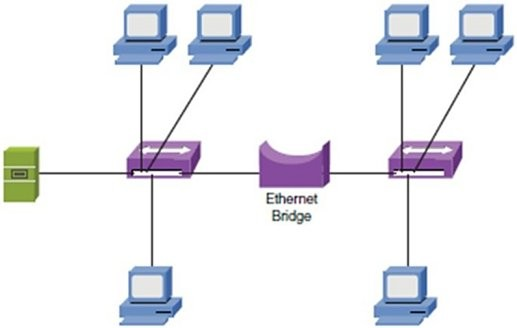 Solved How many collision domains are shown in the following | Chegg.com