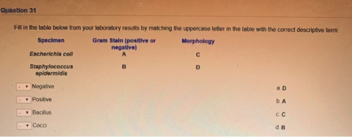 Solved Question 31 Fill in the table below from your | Chegg.com