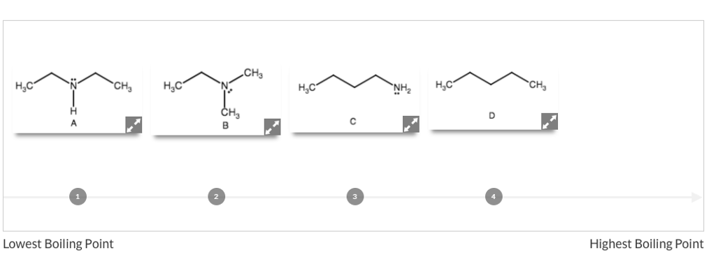 Solved Rank the boiling points of the molecules shown below | Chegg.com