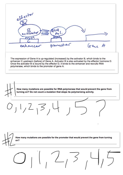 Solved Po The expression of Gene A is up-regulated | Chegg.com