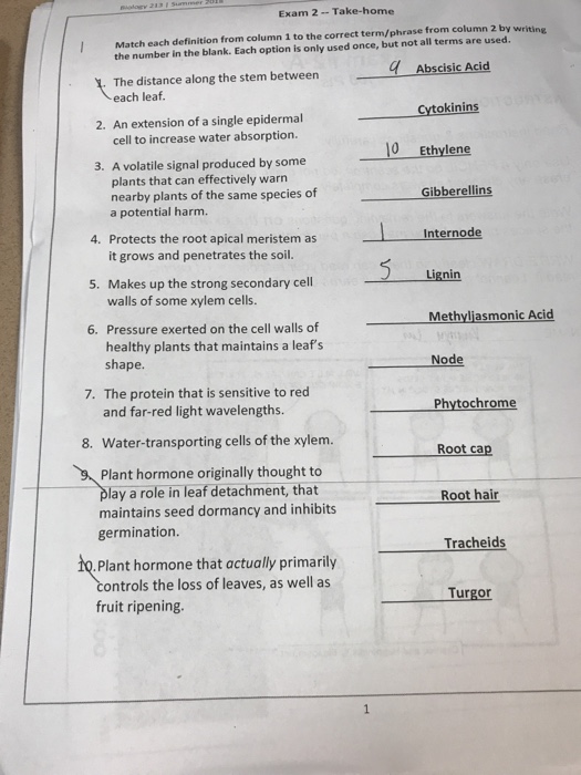 Solved Exam 2-Take-home Match each definition from column 1 | Chegg.com