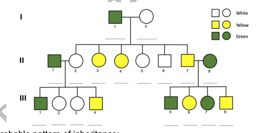 Solved Identify and explain the pattern of inheritance in | Chegg.com