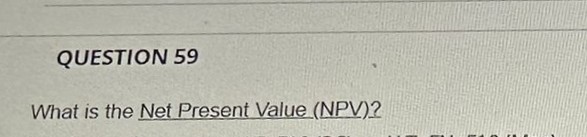 Solved What is the Net Present Value (NPV)? | Chegg.com