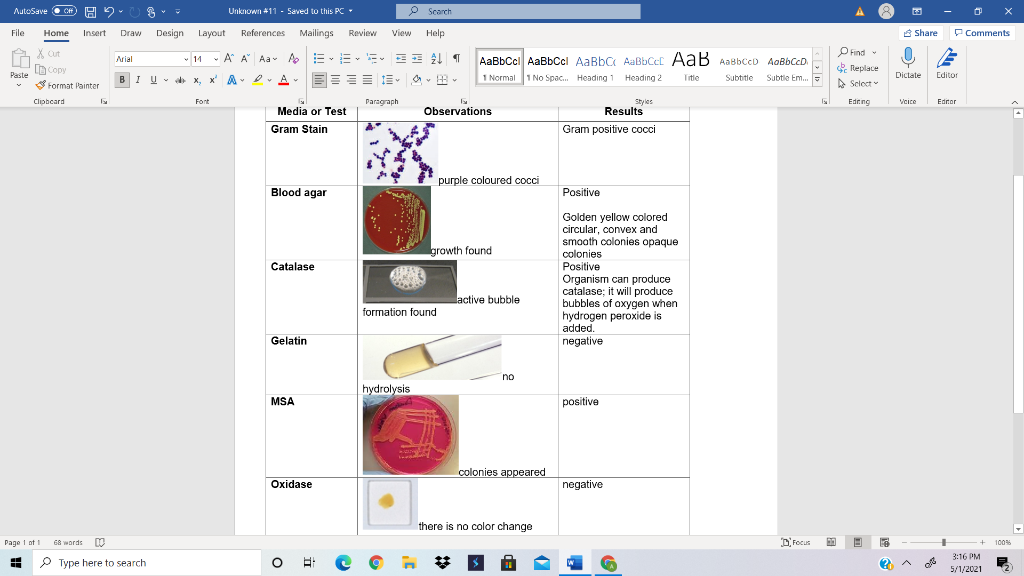 Solved Identify the unknown bacteria include the genus and | Chegg.com