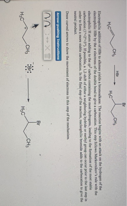 Solved Br HBr CH3 H3C Electrophilic addition of HBr to | Chegg.com