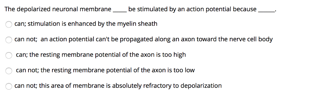 Solved A postsynaptic neuron has multiple presynaptic inputs | Chegg.com