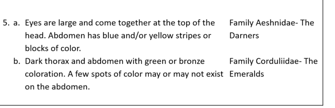 Solved Dragonfly \#1 Dragonfly \#2 Dragonfly \#3 Dragonfly | Chegg.com