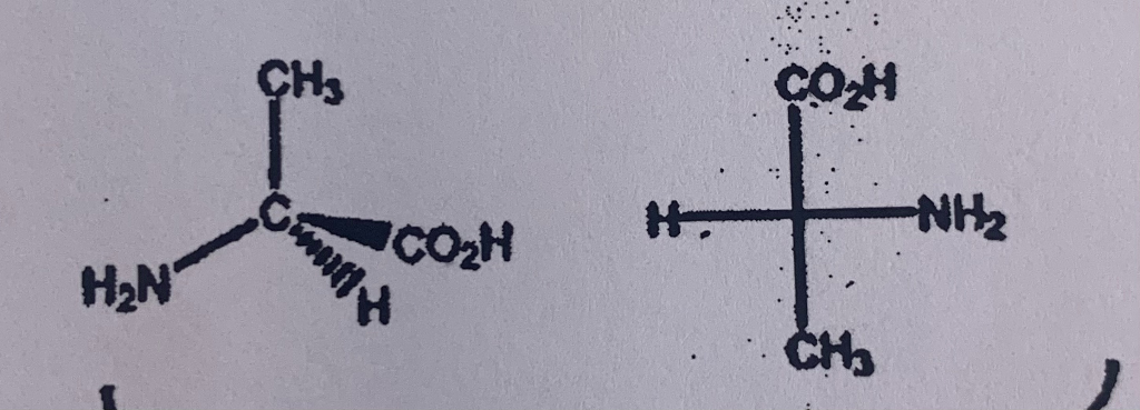 Solved CH, COM H. NH2 COH HN CH | Chegg.com