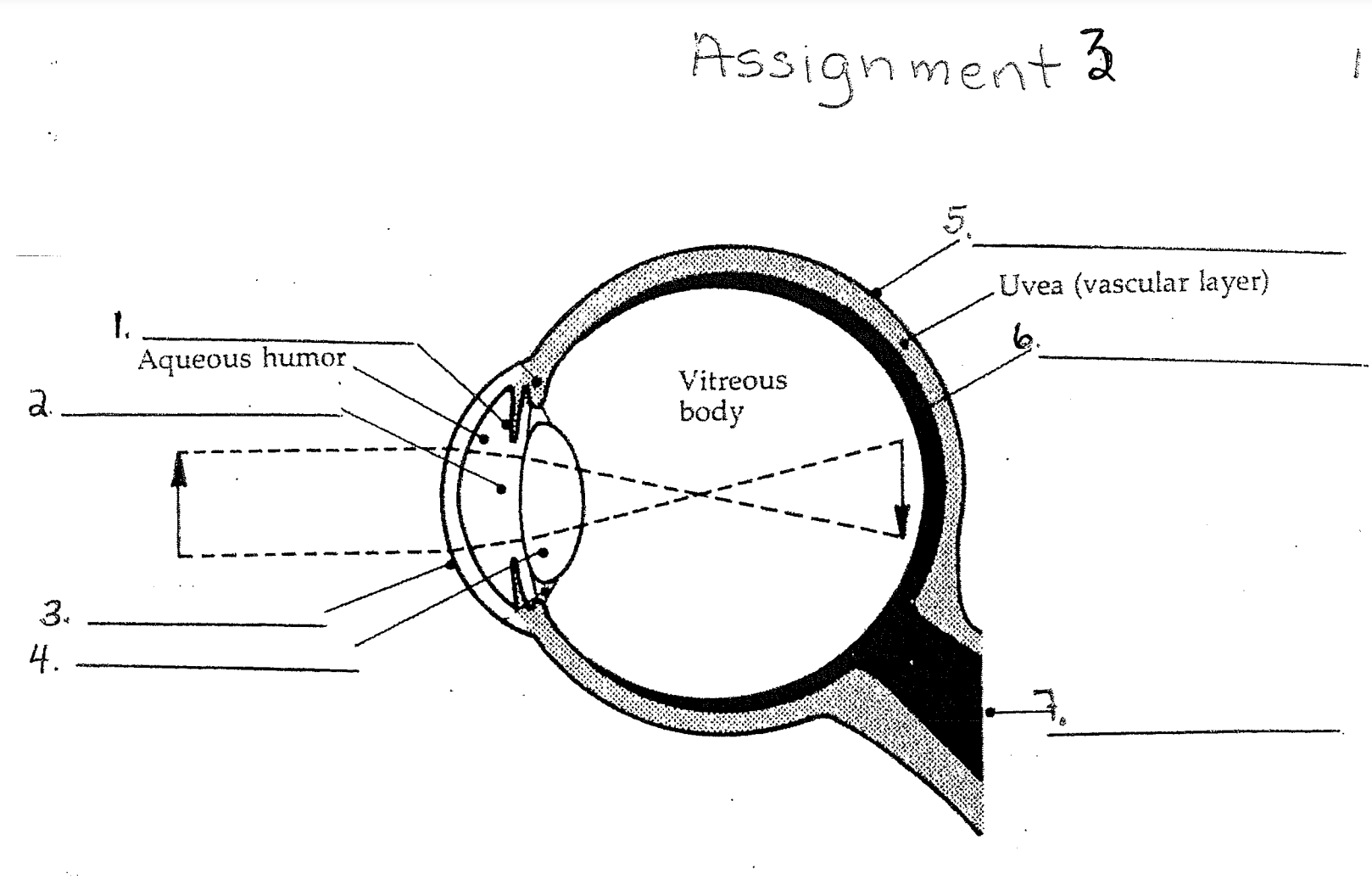 Solved Assignment 3 | Chegg.com Solved Assignment 3 | Chegg.com