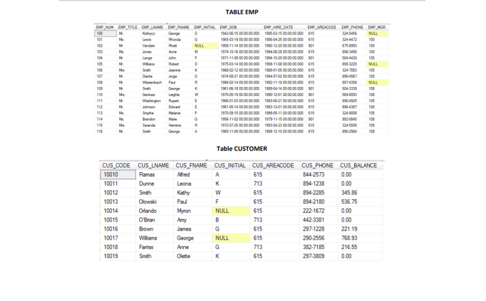 You need to first run the SQL script posted on Moodle | Chegg.com