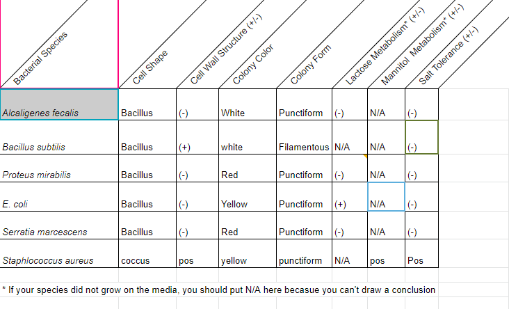 Solved Colony Color Colony Form Bacterial Species Cell Shape | Chegg.com