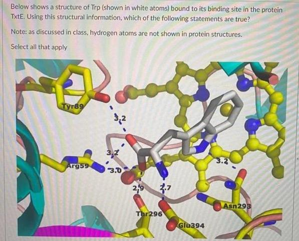Solved Below shows a structure of Trp (shown in white atoms) | Chegg.com