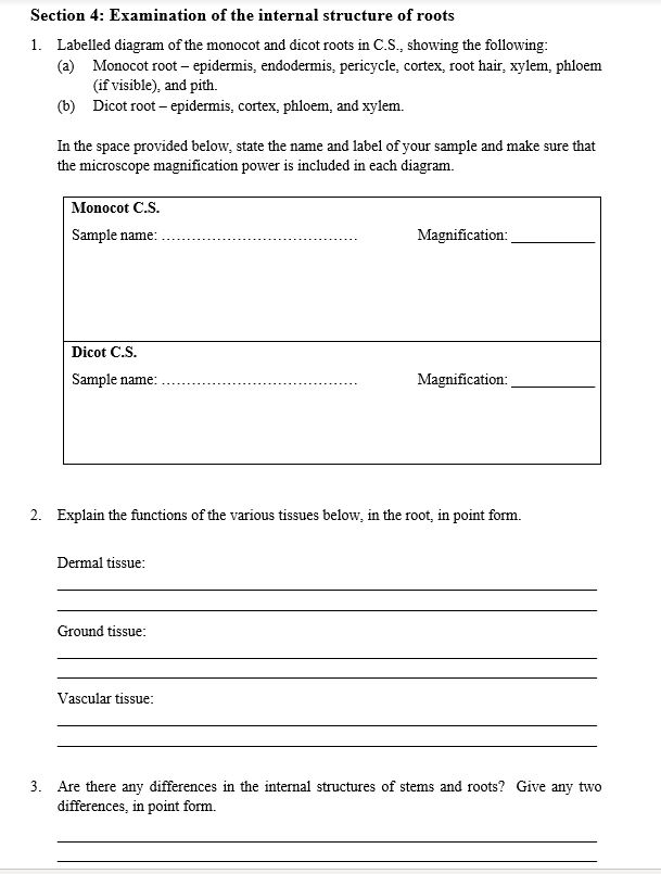 Solved Section 3: Examination of sections of old tree trunks | Chegg.com