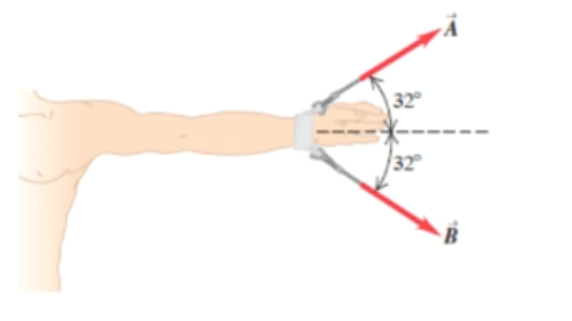 Solved 3. A shoulder traction apparatus helps realign | Chegg.com