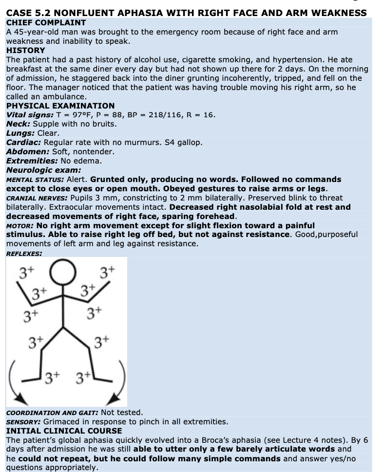 Solved CASE 5.2 NONFLUENT APHASIA WITH RIGHT FACE AND ARM | Chegg.com