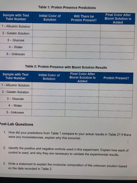 Solved EXPERIMENT 2: TESTING FOR PROTEIN protein (mg/ml) | Chegg.com