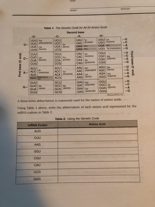 Solved Instuuctor Table 1. The Genetic Code for All 20 Amino | Chegg.com