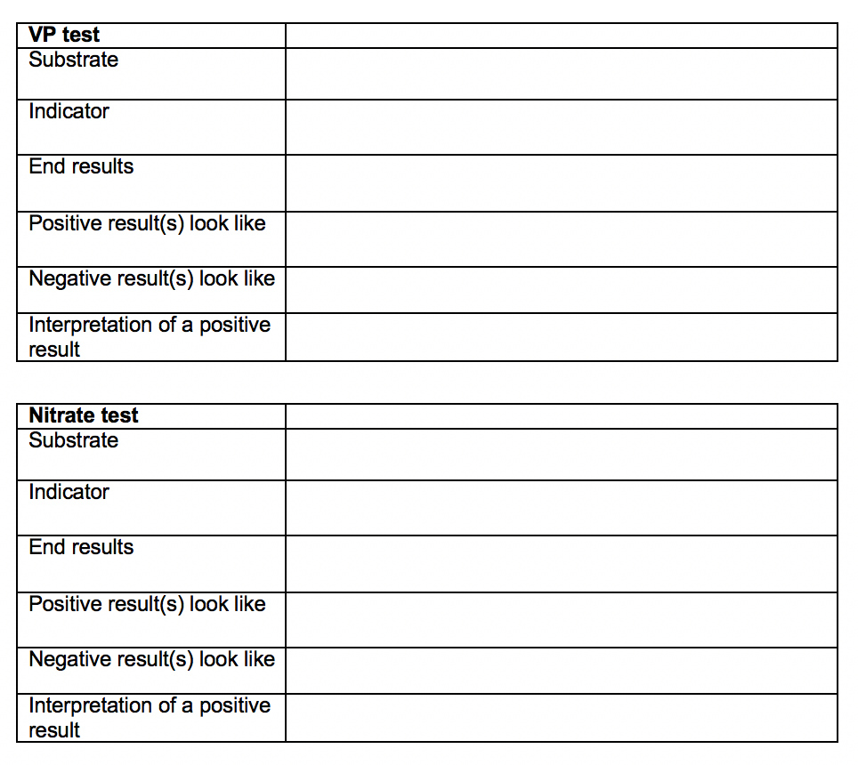 Solved VP test Substrate Indicator End results Positive | Chegg.com