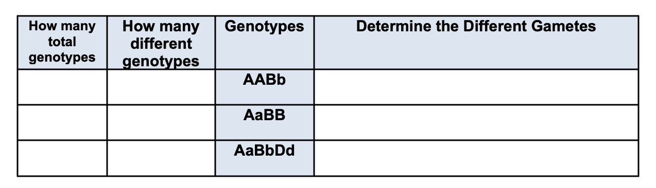 Solved How many different types of gametes can be formed by | Chegg.com