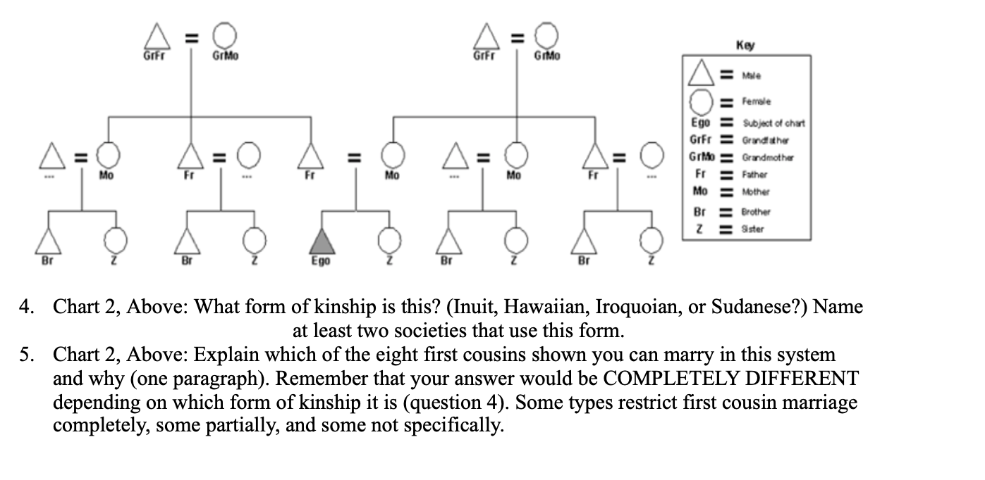 = O Key Grfr GrMo Grer GIMO Male A = = A Female Ego | Chegg.com