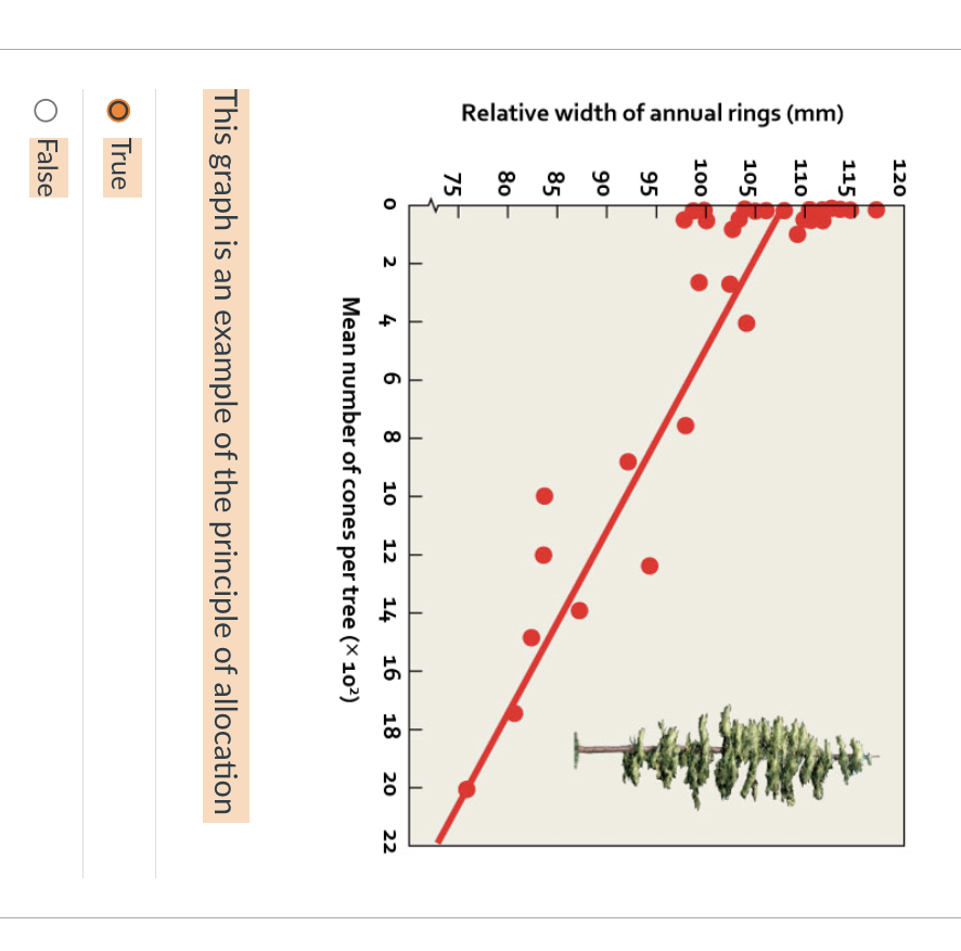 Solved Mean number of cones per tree (×102) This graph is an | Chegg.com