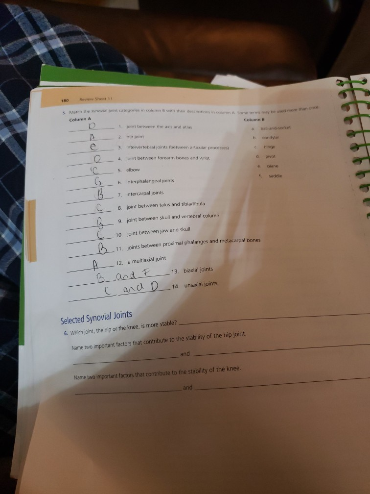 Solved 180 Review Sheet 1 5. Match the synovial joint | Chegg.com