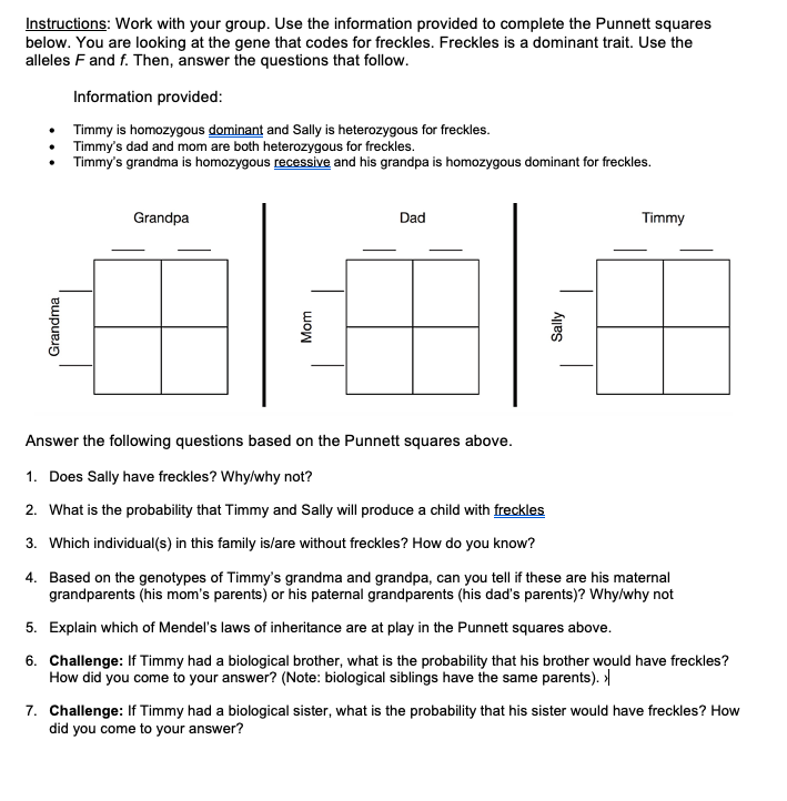 How Do Punnett Squares Work