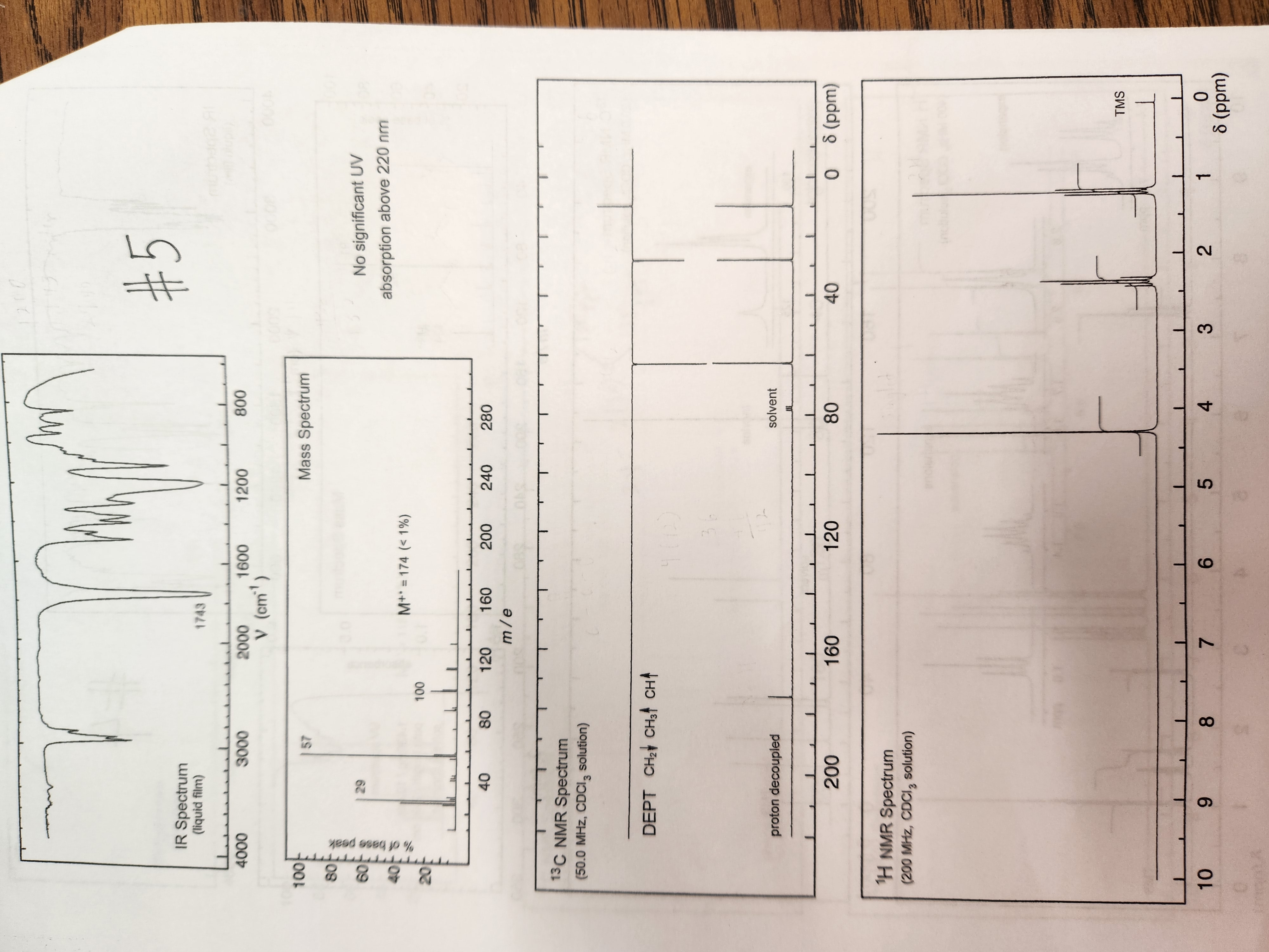 Solved What is the structure of the molecule from the IR, | Chegg.com