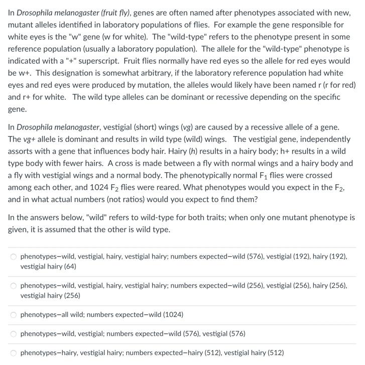 Solved In Drosophila melanogaster (fruit fly), genes are | Chegg.com